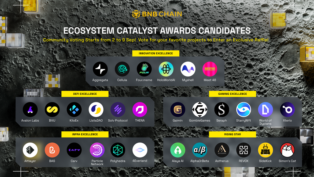 Cast Your Vote for the BNB Chain 4th Anniversary Ecosystem Catalyst ...