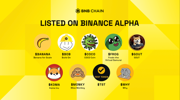 Memecoin Landscape on BNB Chain: A Path to Community Engagement and ...